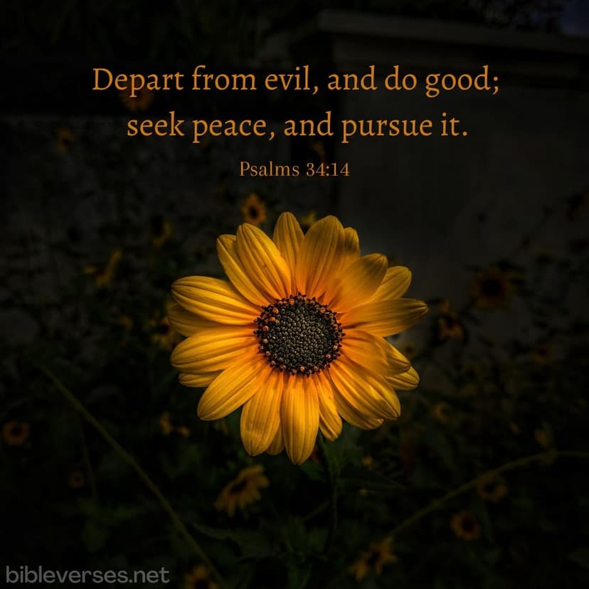 Top 10 Bible Verses about Peace (KJV) - Bibleverses.net