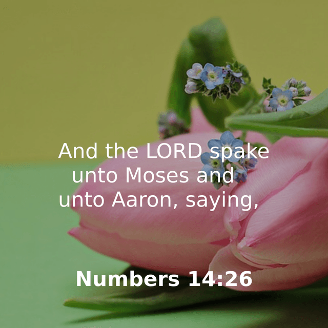 January 28, 2026 Daily Bible Verse - Bibleverses.net